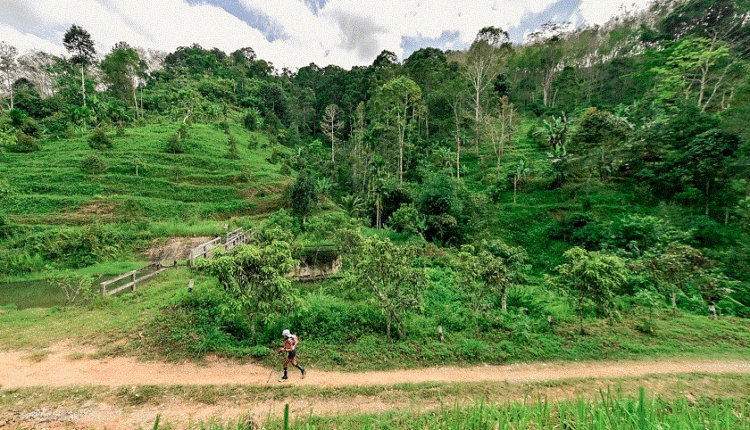 Amazean Jungle Thailand by UTMB, una primera edición sobresaliente ...
